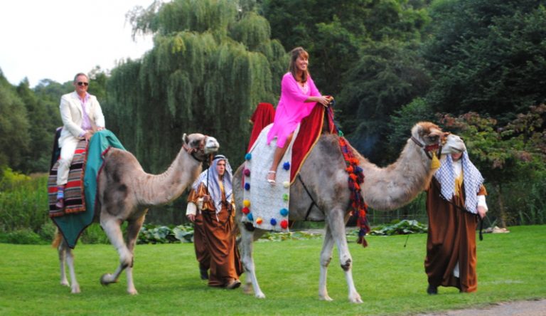 Events | Amazing Animals